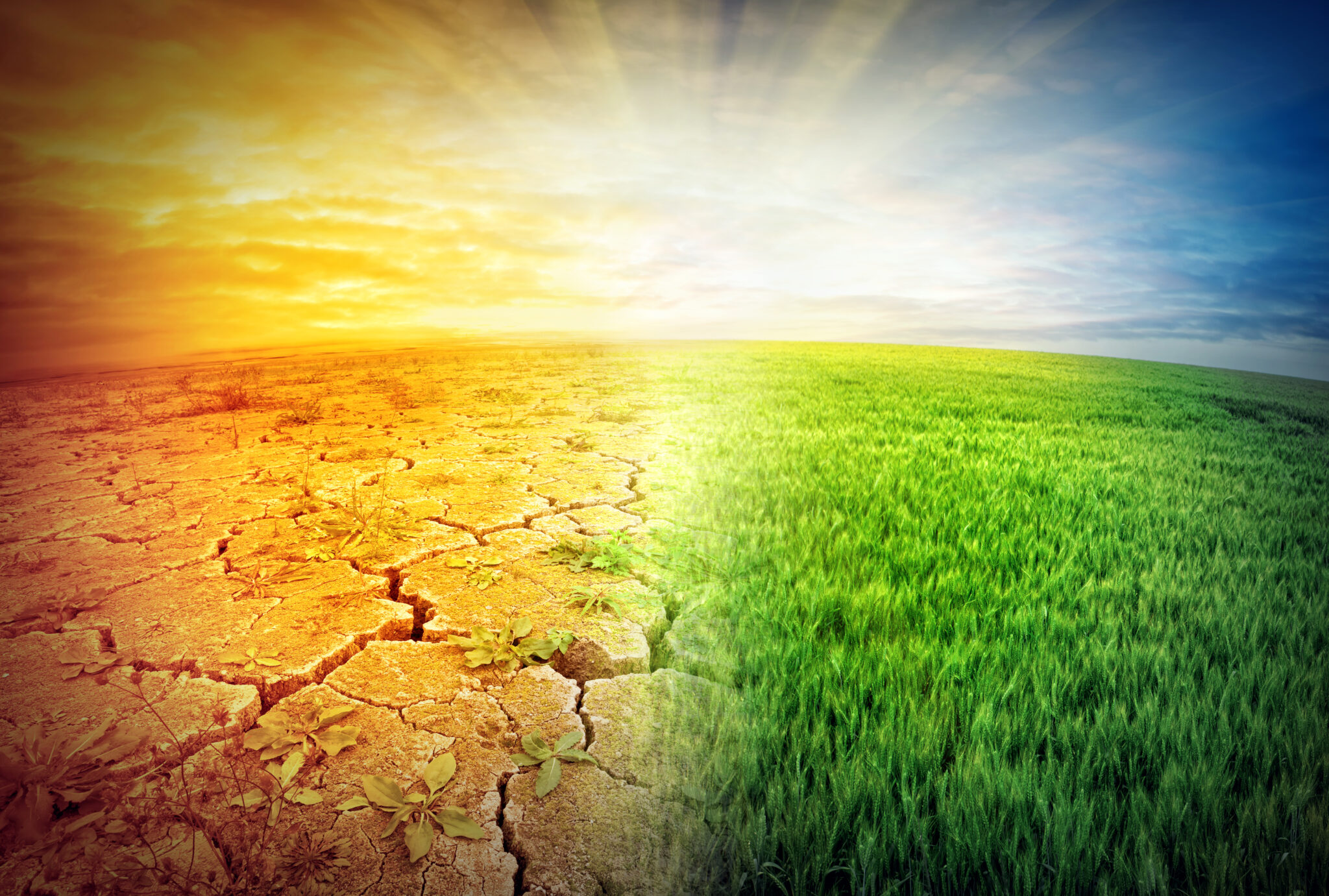 How Auras Affect Our Lives – Spiritual Arts Institute